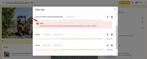 Sitecore Content Hub Deleting Public Link On Deletion Of Rendition R
