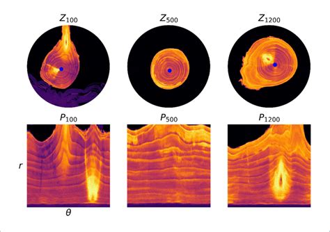 Polar Coordinate Conversion For Selected Slices After Finding The Download Scientific Diagram