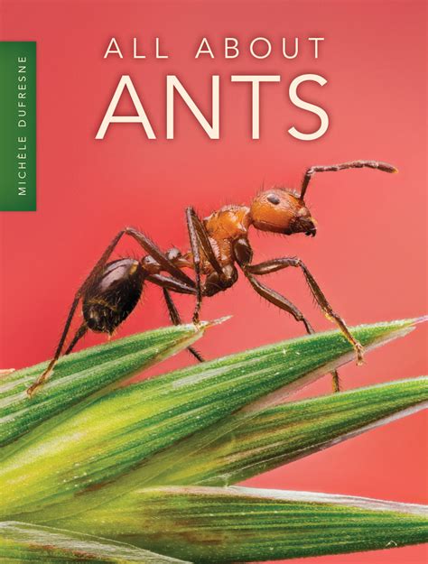All About Ants Pioneer Valley Books