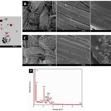 Scanning Transmission Electron Detector Stem Micrograph Of The Agnps