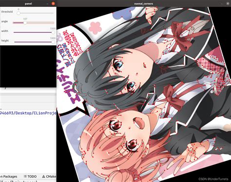 【opencv教程合集版】一文入门和精通opencv（cc）opencv C入门 Csdn博客