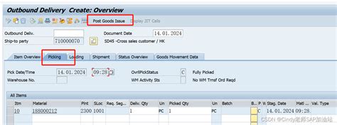 跨公司销售业务和系统案例演示sap 跨公司销售 Csdn博客