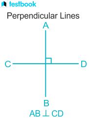 Perpendicular Lines Learn Definition Equation Construction