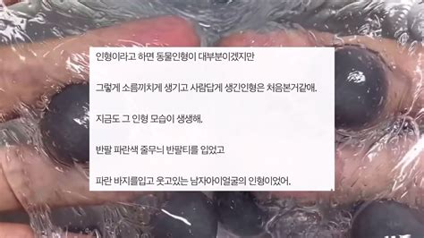 창문 밖에서 날 쳐다보는 인형 네이트판 시리즈액괴 소규모 소시액 대규모대시액공론화 에스크삶체험 무편집영상공유양식고딕파연카 깊나눔윈터마리 계나괴담 짤추천소름썰모음 냼삐님