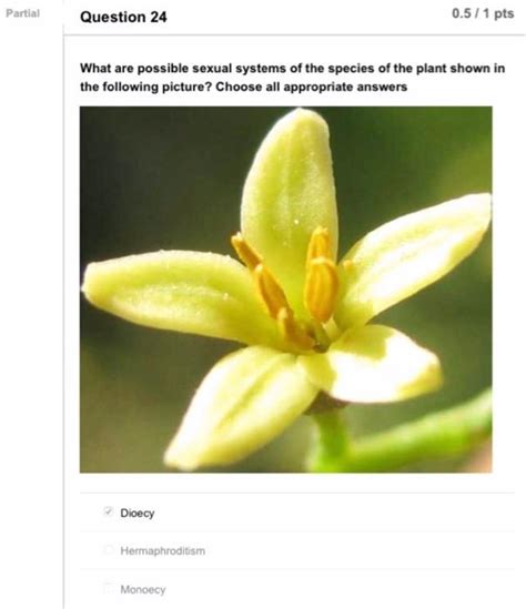 Solved Partial Question 24 0 5 1 Pts What Are Possible Chegg Com