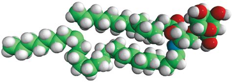 Krn7000 α Galactosyl Ceramide