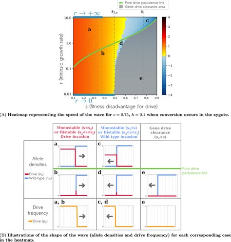 A Heatmap Representing The Speed Of The Wave For Download Scientific Diagram