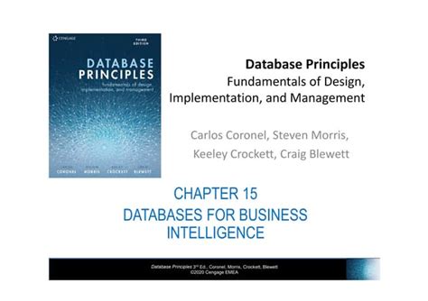 Inf3703 Chapter 15 Databases For Business Intelligence Pdf Databases Computer Software