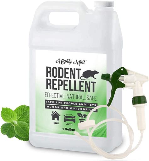Mighty Mint Spray Review Updated 2021 Ingredients And Safety