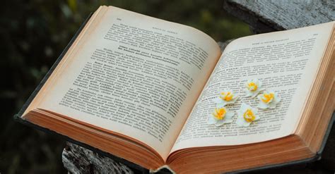 꽃 나무 읽을 거리 종이 책 책 공개 시험 책 바인딩 텍스트 페이지 확대에 관한 무료 스톡 사진