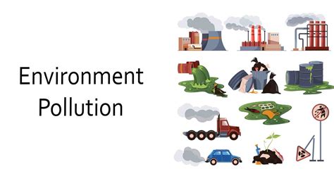 Tree Plantation Paragraph For HSC SSC 200 300 500 Words Shopnik