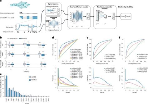 Christopher Hendra On Linkedin Detection Of M6a From Direct Rna Sequencing Using A Multiple