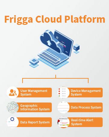Frigga V C G G Real Time Temperature Humidity Data Logger Single Use Points Remote