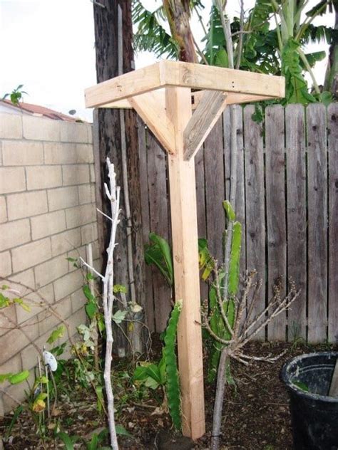 How To Make A Dragon Fruit Trellis At Home
