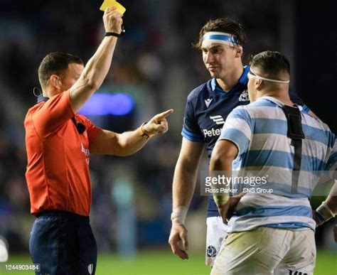 Gallo Images Photos And Premium High Res Pictures Getty Images