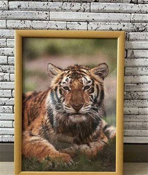 Фоторамка картина «Тигр под стеклом Festima Ru Мониторинг объявлений