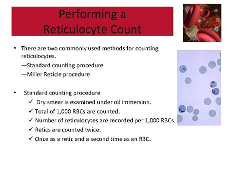 Performing A Reticulocyte Count Reticulocytes A Reticulocyte Is