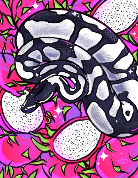 live plants in ball python enclosure r ballpython