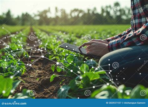Technology In Farming Precision Farming System Uses Artificial Intelligence To Optimize Crop