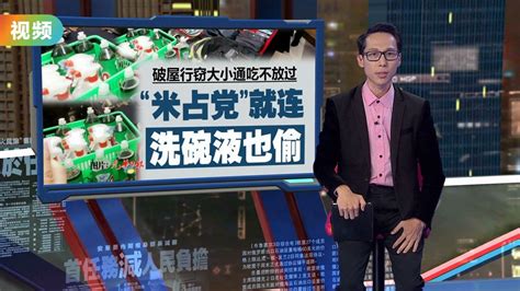 警方瓦解破屋行窃米占党 吉打王室行宫也敢偷 Video Dailymotion