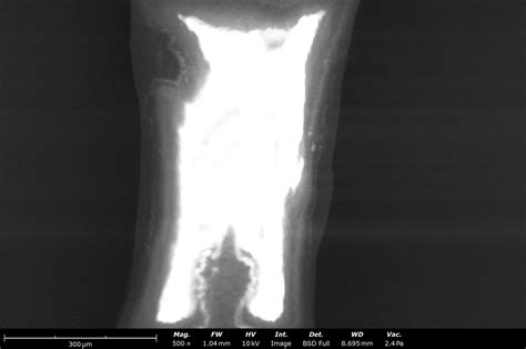 5 Approaches For Optimizing Sem Imaging Of Nonconductive Samples