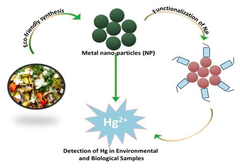 Recent Progress In Nanoparticles Based Sensors For The Detection Of Mercury Ii Ions In