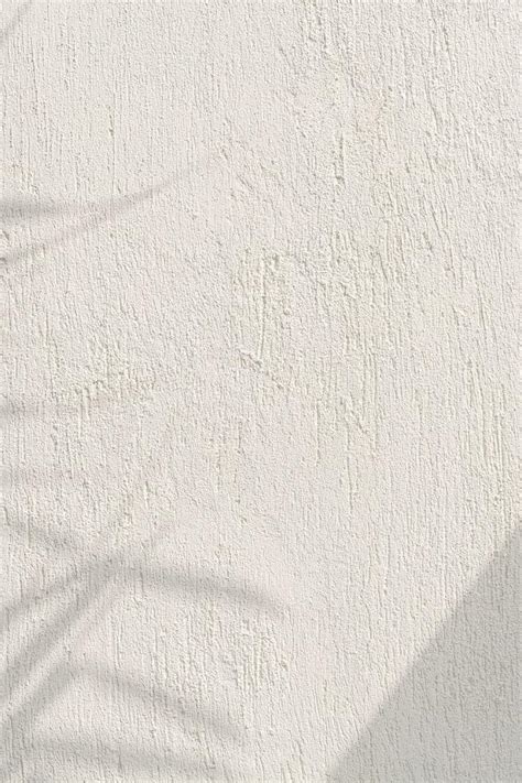 树叶在混凝土上的阴影 免费照片 rawpixel