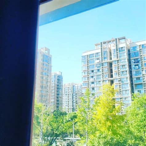 Mis Misinternationalschool • Instagram Photos And Videos