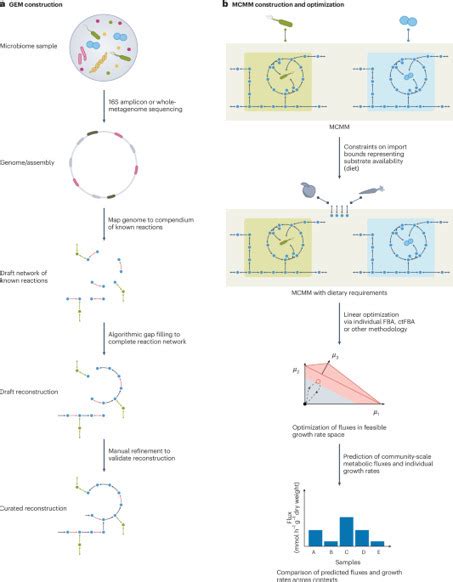 Moving From Genome Scale To Community Scale Met