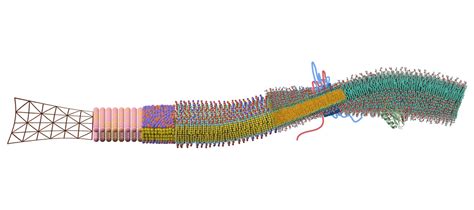 Molecular Biophysics Unit Iisc Mbu Iisc Twitter