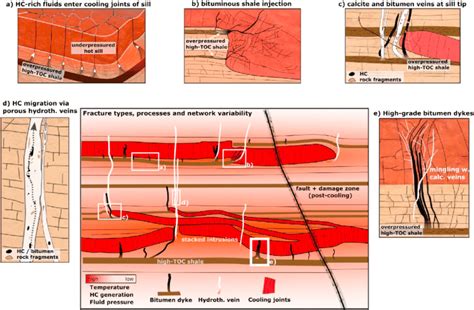 Schematic Summary Of Fracture Types Underlying Mechanisms And Fracture Download Scientific