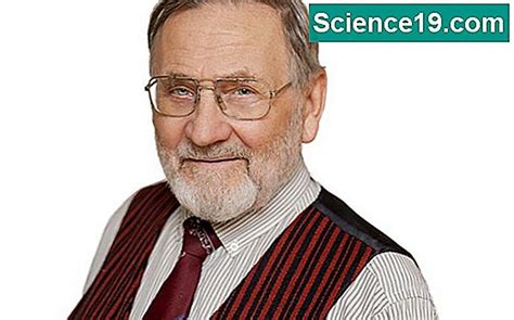 Ökosüsteem Määratlus Tüübid Struktuur Ja Näited 💫 Teaduslikud Ja Populaar Multimeedia Portaal