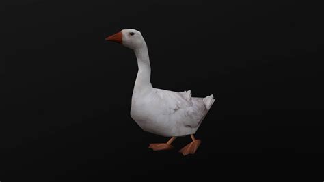 Animated Duck 3d Model By Madecg