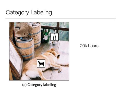 Coco Dataset