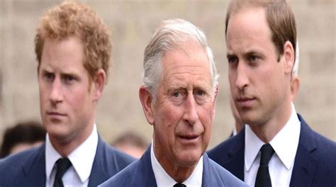 Prince Harry Prince William Are Always Hot And Cold With King Charles