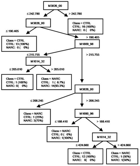 Tree Diagram Definition Exatin Info