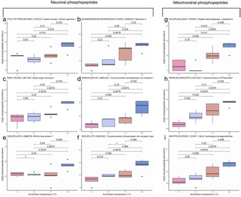 Boxplots Of Selected Phosphopeptides Related To Neurological And