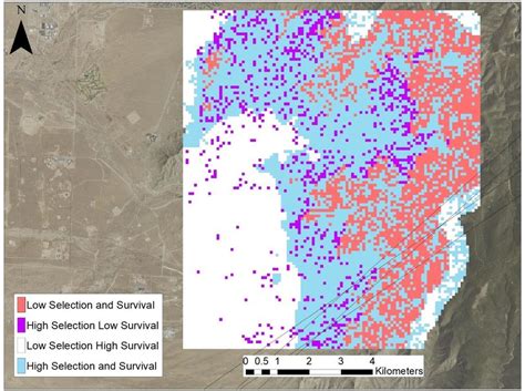 A Spatial Projection Of The Interaction Between Habitat Selection And Download Scientific