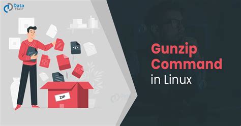 Gunzip Command In Linux Dataflair