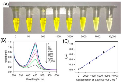 Nanodiagnostics Of Staphylococcus Aureus Selective Colorimetric Method Download Scientific