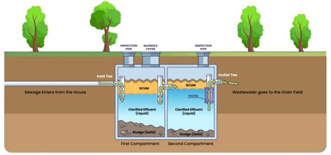 How Does A Septic System Work Explore Septic Tank Diagram