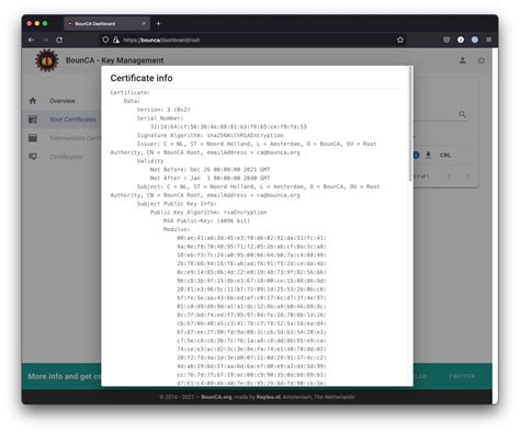 Create Root Certificate Authority BounCA Org Generate Self Signed SSL Certificates
