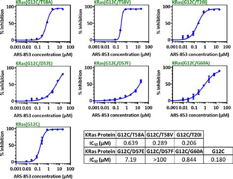 Figure 9 From A Novel Strategy For Identifying Non Covalent Kras Inhibitors Semantic Scholar