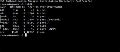 Rsa Authentication Manager 8x Running On Hyper V Enters Maintenance