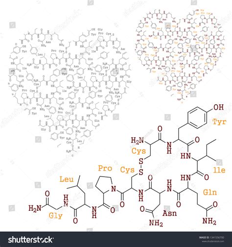 Oxytocin Structure