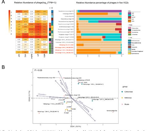 Figure 1 From Vibrio Cyclitrophicus Phage Encoding Gene Transfer Agent Fragment Representing A