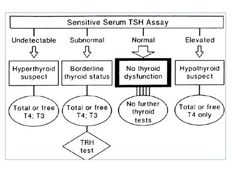 Thyroid Function Test Tft In Simple Way Pdf