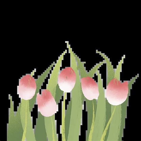 千库网 手绘文艺花丛草地灌木丛粉色郁金香花卉花朵植物 元素编号13549137 花瓣网