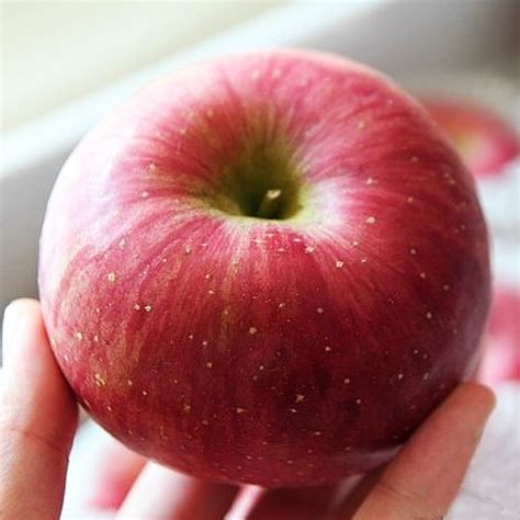 안동 부사사과 중소과22kg두개 구매시48kg발송 티몬