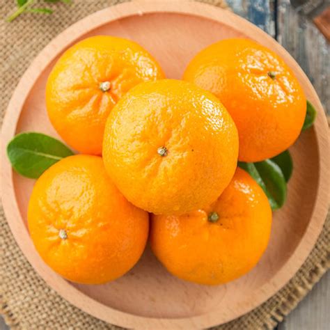 糖心橘子 橘子焦糖 大山谷图库